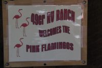 49er RV Ranch: RV Campground Photo Gallery Columbia CA